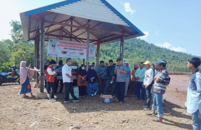 60 Peserta Ikuti Diseminasi Budidaya Polikultur Rumput Laut Gracillaria ...